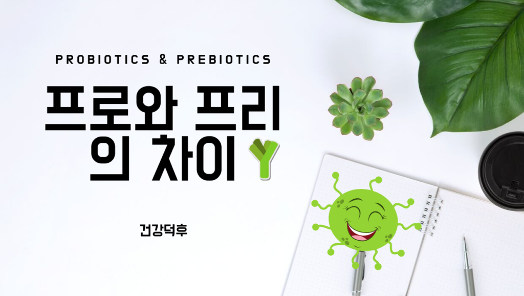 프로바이오틱스 프리바이오틱스 무슨 차이일까 건강덕후